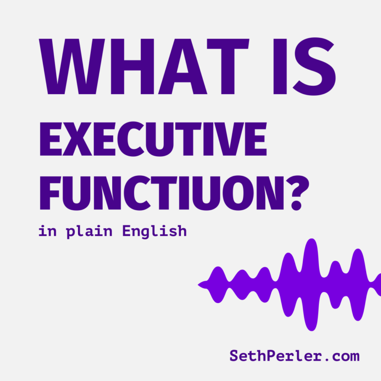What is EXECUTIVE FUNCTION (in plain English) Seth Perler