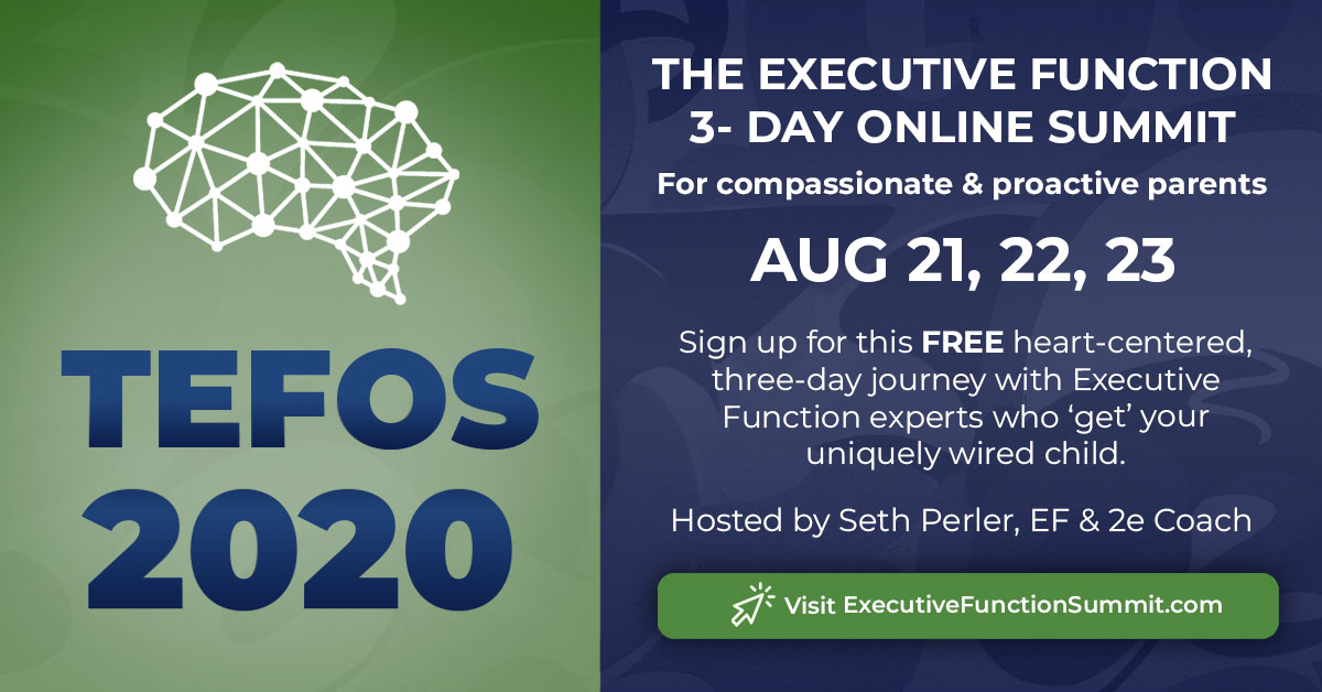 TO SPEAKERS! Executive Function Summit [TEFOS] - Seth Perler